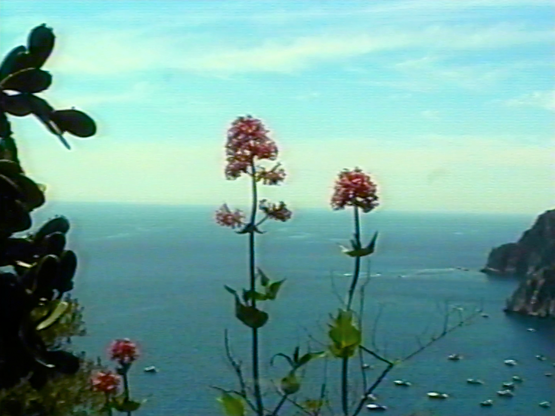 Venroy | Premium Leisurewear designed in Australia